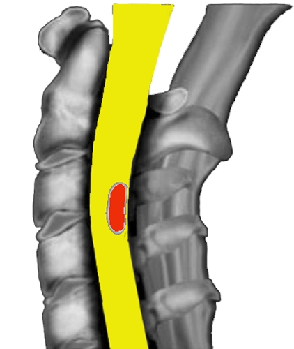 NASA Courses for doctors